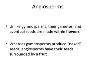 Gymnosperms And Angiosperms Venn Diagram