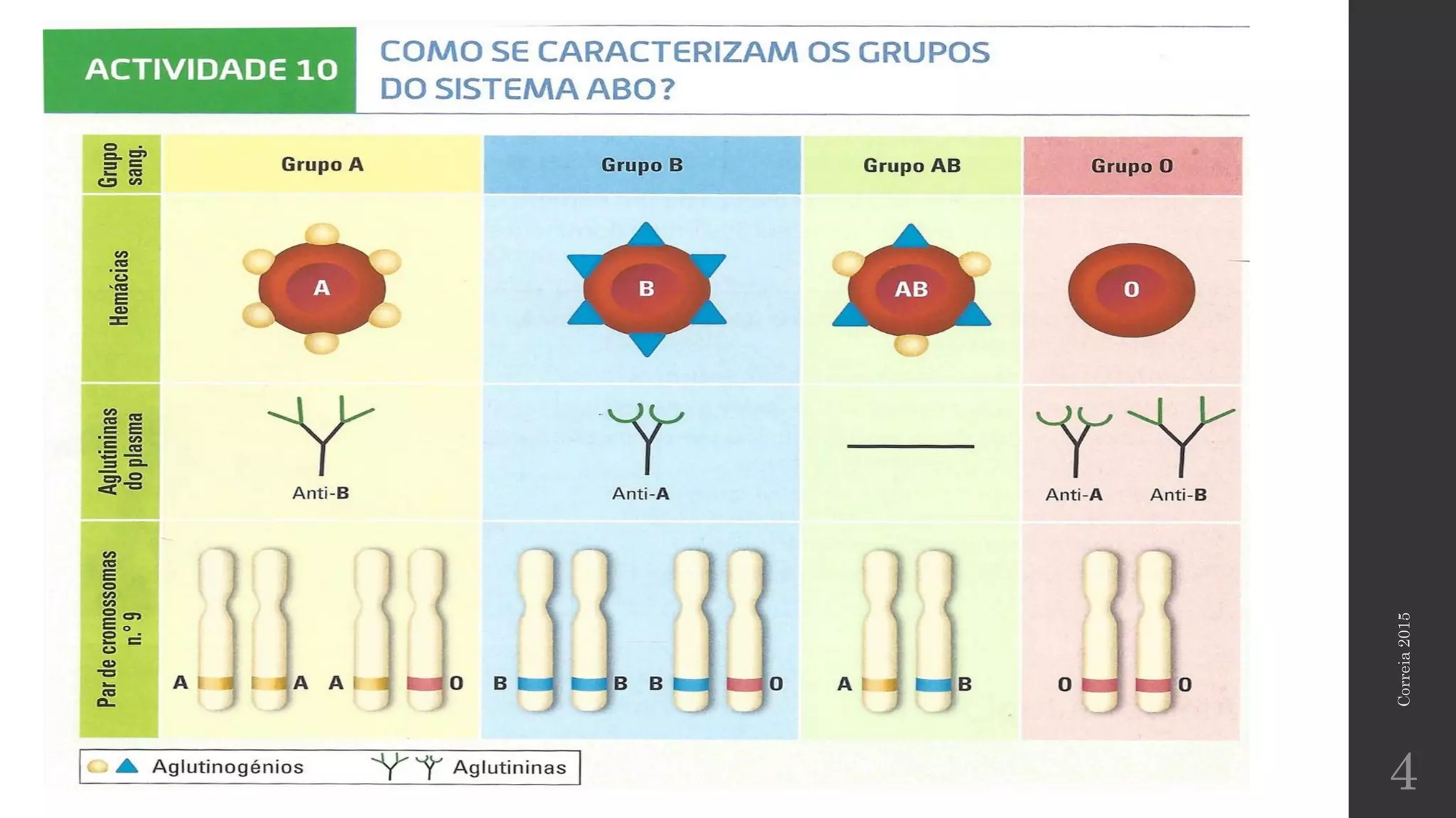 Bio 12 sistema abo | PDF