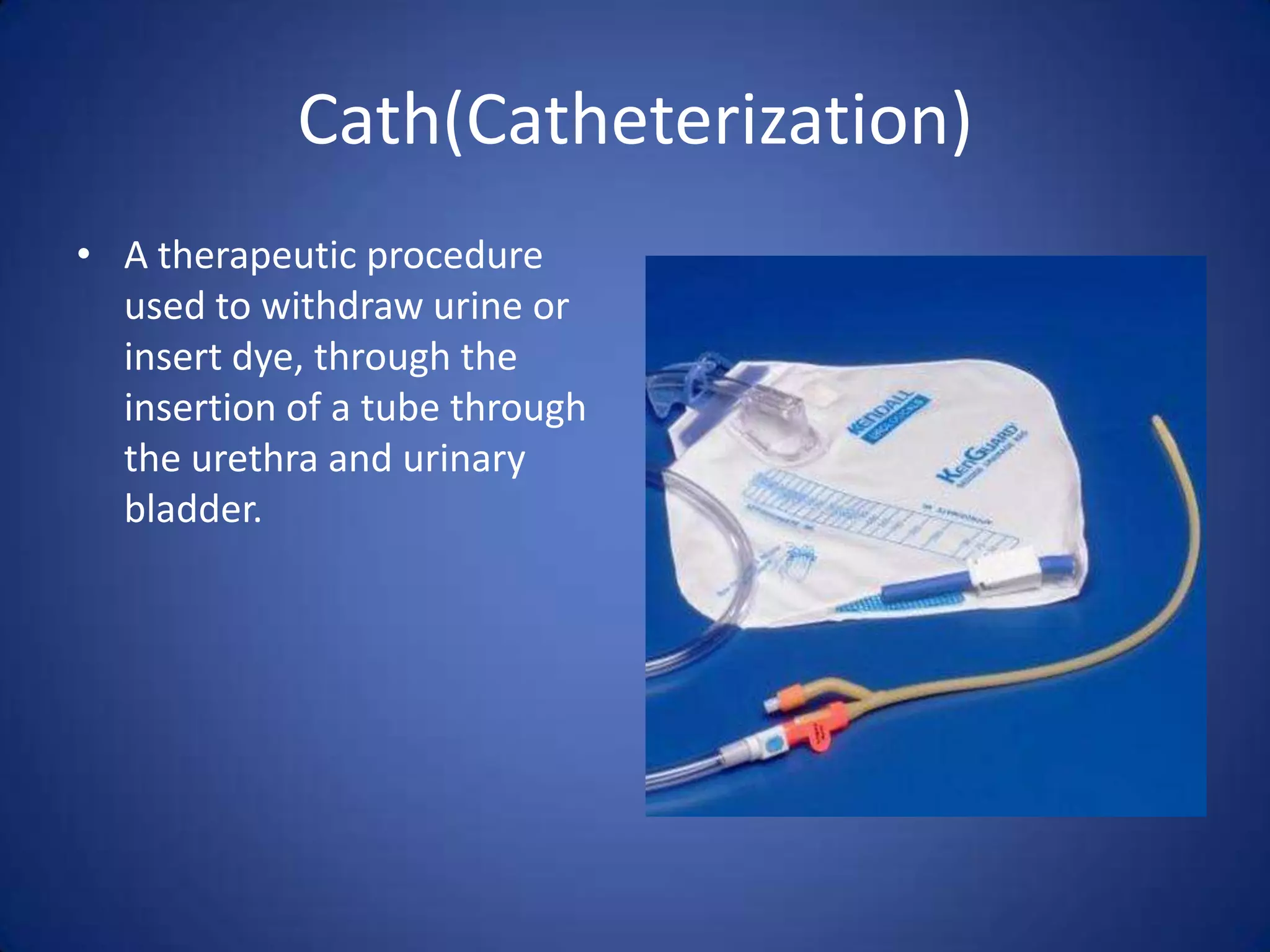 Bio 120 presentation 1 | PPTX