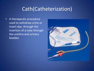 Bio 120 presentation 1 | PPT