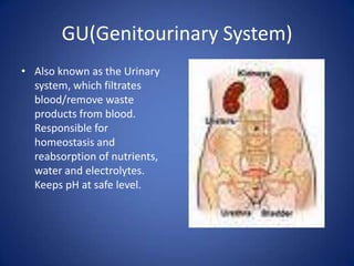 Bio 120 presentation 1 | PPT