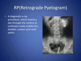 Bio 120 presentation 1 | PPT