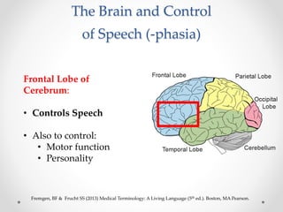 Bio 120 presentation_12_h_cristina | PPTX
