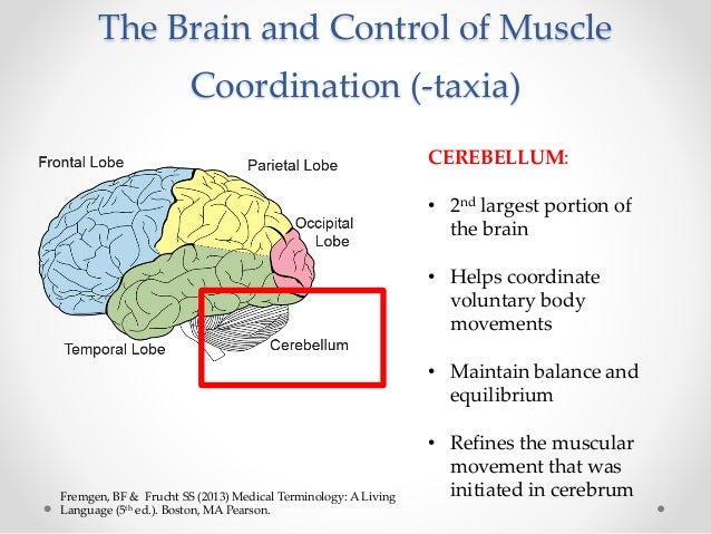 Bio 120 presentation_12_h_cristina