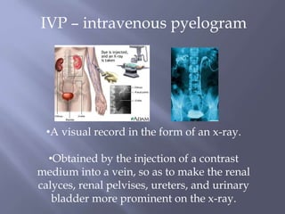 The Urinary System: 5 Abbreviations | PPTX