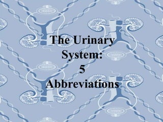 The Urinary System: 5 Abbreviations | PPTX | Medical Health