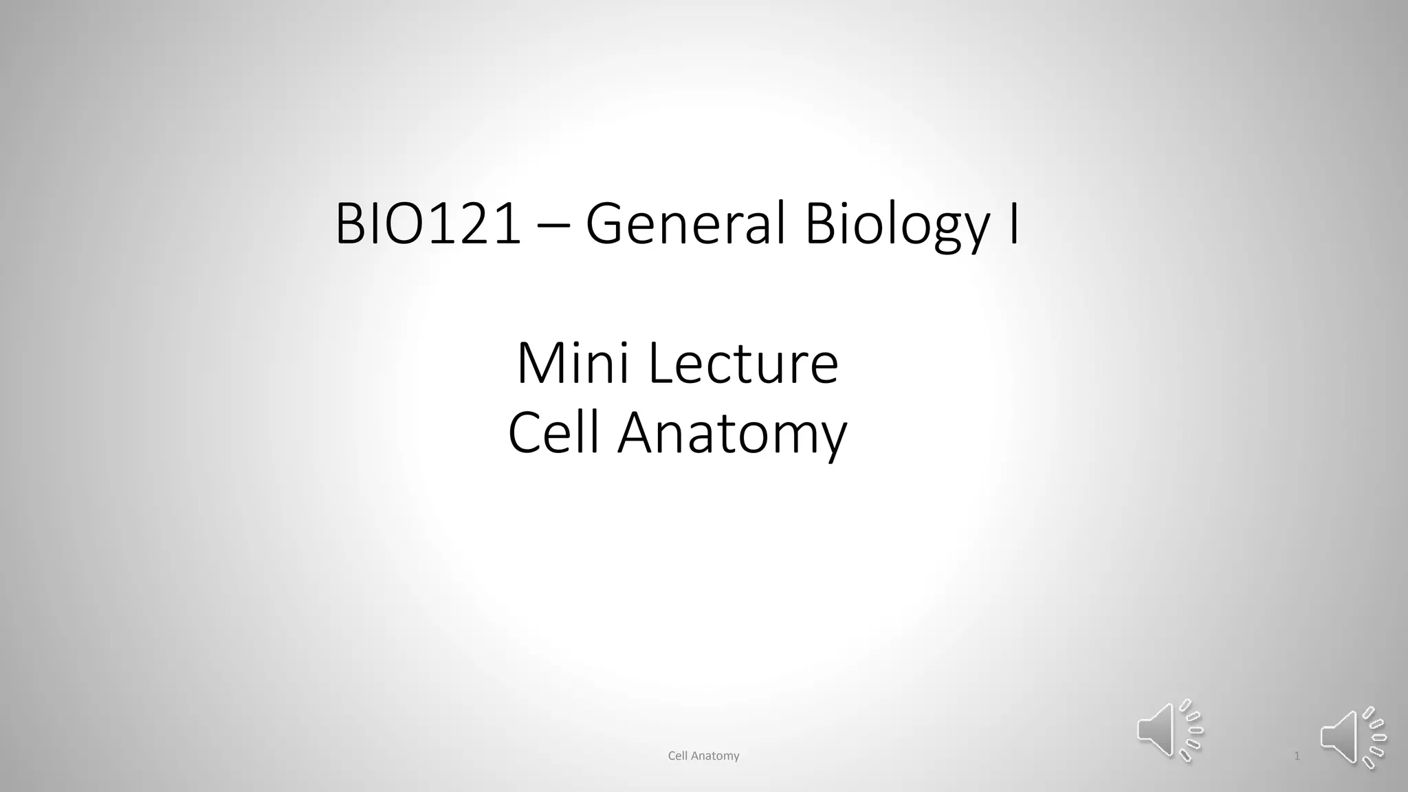 Cell Anatomy Mini Lecture | PPTX