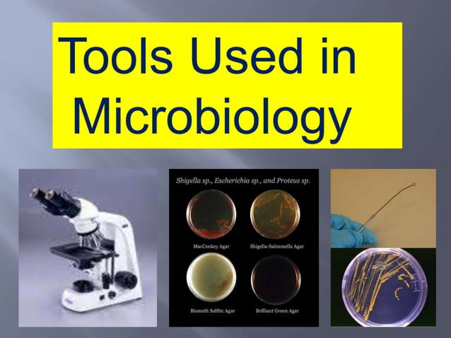 Bio 127 lec 2 Microbiology: Tools Used in Microbiology | PPTX ...