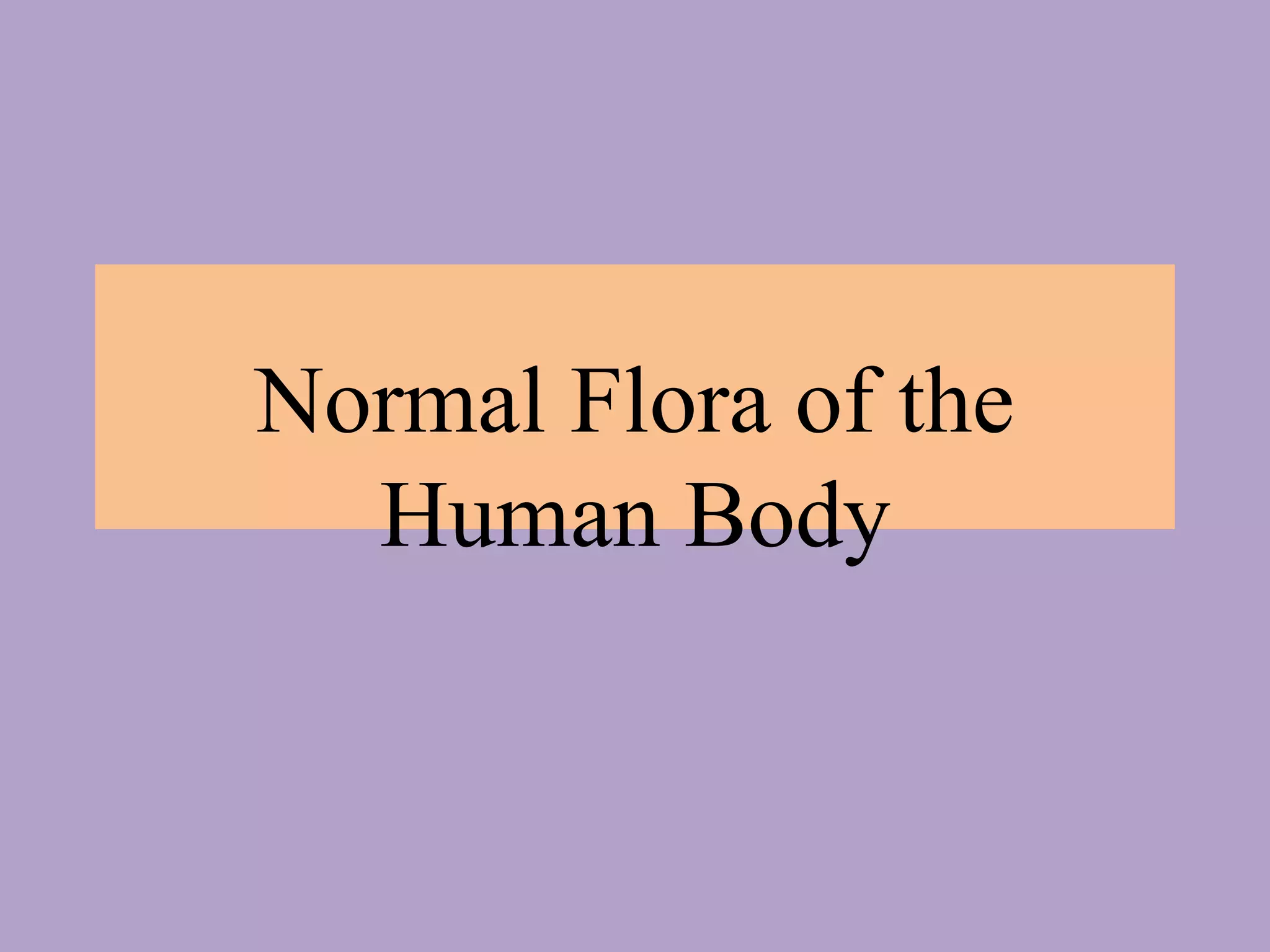 Microbiology Bio 127 Normal Flora of the Human Body | PPTX