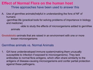 Microbiology Bio 127 Normal Flora of the Human Body | PPTX