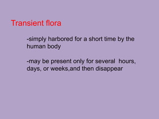 Microbiology Bio 127 Normal Flora of the Human Body | PPTX