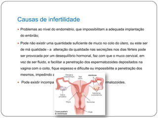 infertilidade e suas causas | PPTX
