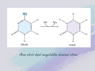 BIOLOGI KELAS 12 SMA/MA tentang MUTASI.pdf
