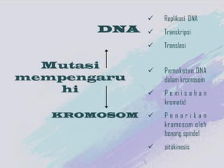 BIOLOGI KELAS 12 SMA/MA tentang MUTASI.pdf