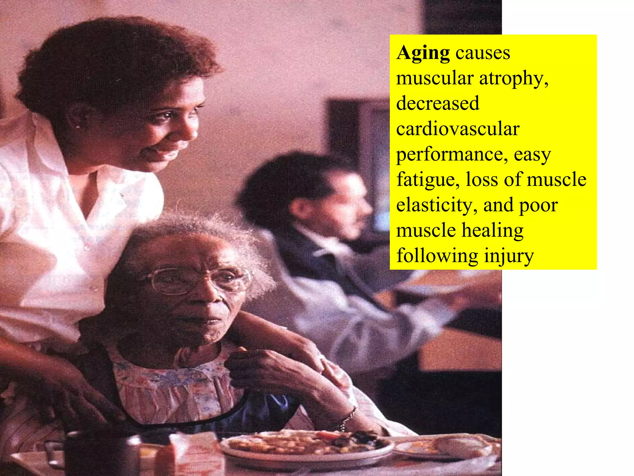 Bio13 .ppt;10 muscle-tissue-and-organization ppt zeny | PPT