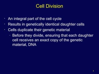 Bio1308 mitosis | PPT