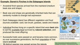 Bio130 Chapter 1 Lecture Slides - Introduction to Living Organisms ...