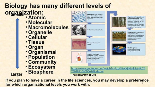 Bio130 Chapter 1 Lecture Slides - Introduction to Living Organisms ...