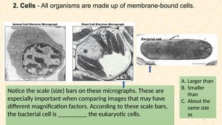 Bio130 Chapter 1 Lecture Slides - Introduction to Living Organisms ...