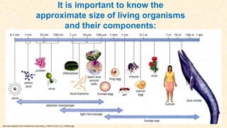 Bio130 Chapter 1 Lecture Slides - Introduction to Living Organisms ...