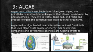 MICRO ORGANISMS,TYPES AND THEIR GROWTH | PPTX