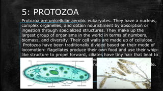 MICRO ORGANISMS,TYPES AND THEIR GROWTH | PPTX