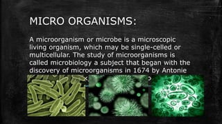 MICRO ORGANISMS,TYPES AND THEIR GROWTH | PPTX