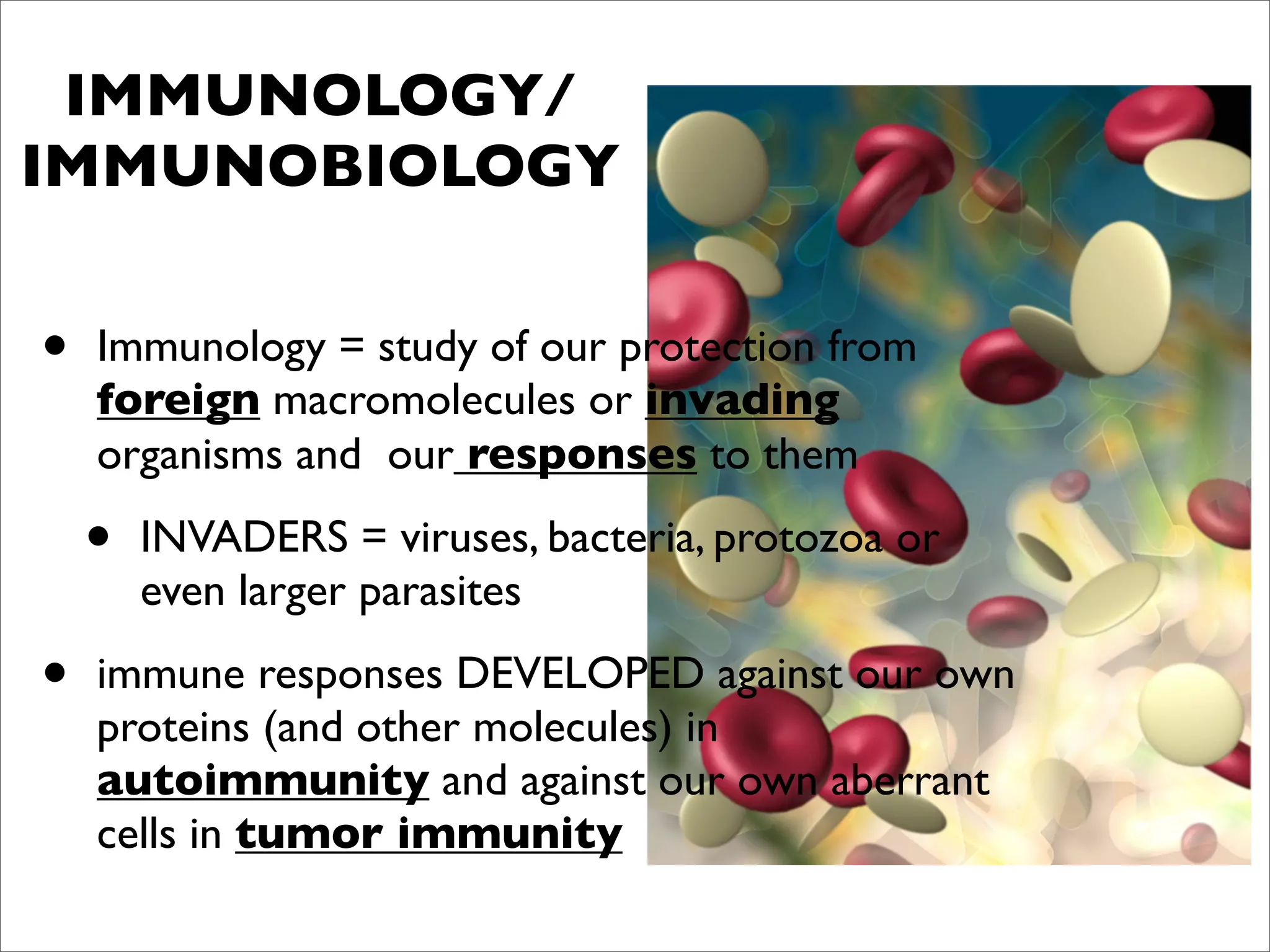 Bio 151 lec 1 overview | PDF