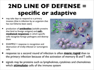 Bio 151 lec 1 overview | PDF
