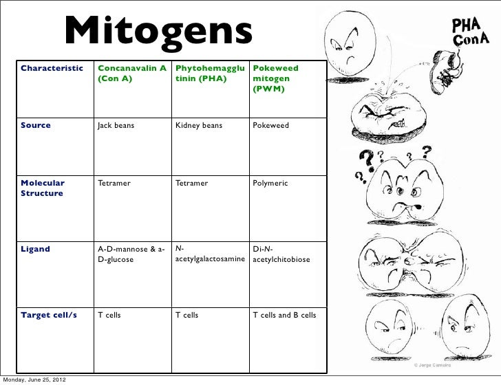 Bio 151 lec 2 2012 2013