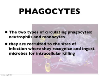 Bio 151 lec 3 2012 2013 | PPT
