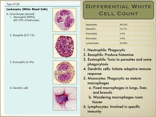 Bio 151 lecture 2 innate immunity | PPT