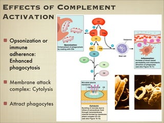 Bio 151 lecture 2 innate immunity | PPT
