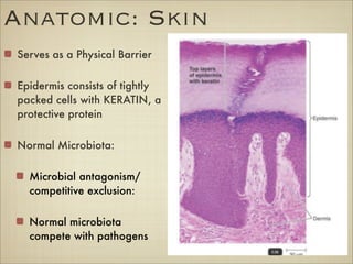 Bio 151 lecture 2 innate immunity | PDF