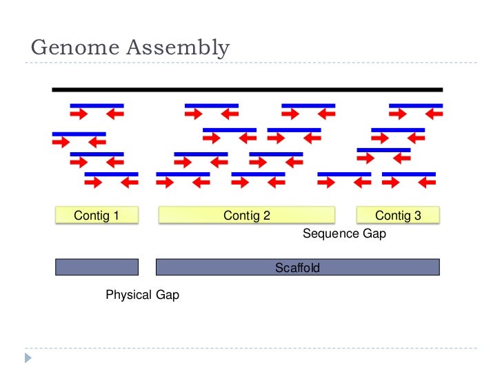 Bio153 microbial genomics 2012
