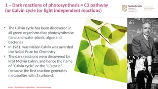 Bio154 Lecture 5 - 6 The Dark reactions of Photosynthesis.pptx