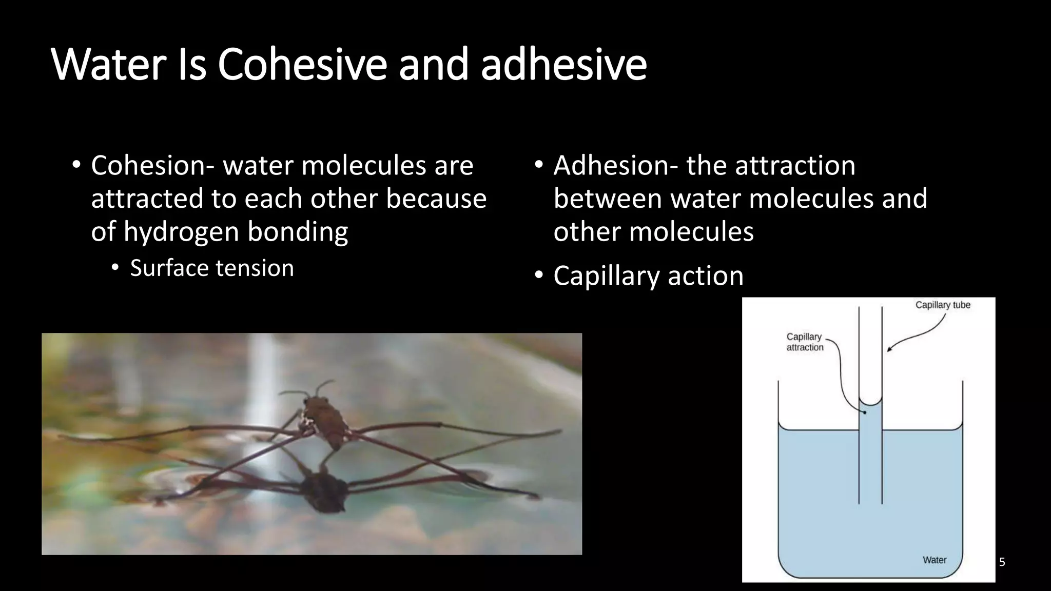 Bio 160 Chapter 2 Water.pptx