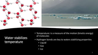 Bio 160 Chapter 2 Water.pptx