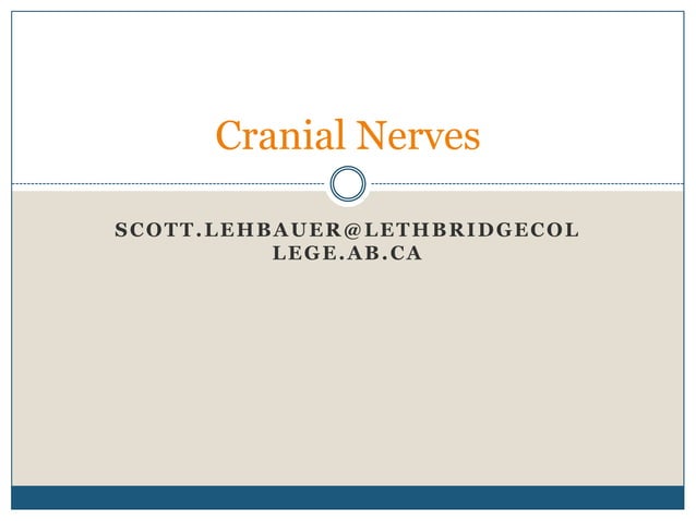 Bio 161 _lab__9_cranial_nerves | PPT