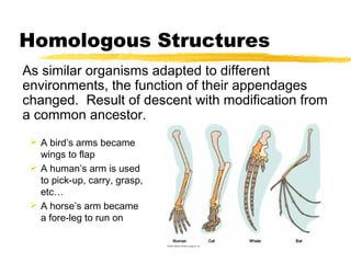 Bio 163 evolution lmk 2013 for moodle | PPT