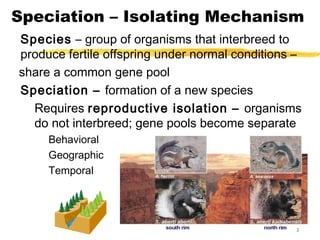 Bio 163 patterns of evolution and genes lmk 2013 | PPT