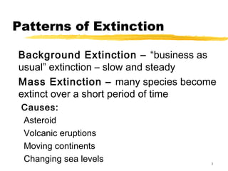Bio 163 patterns of evolution and genes lmk 2013 | PPT