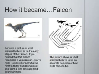 Bio165 adaptations | PPTX