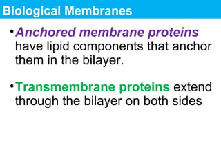 Bio 189 cell_membranes_and_signaling_spr | PPT