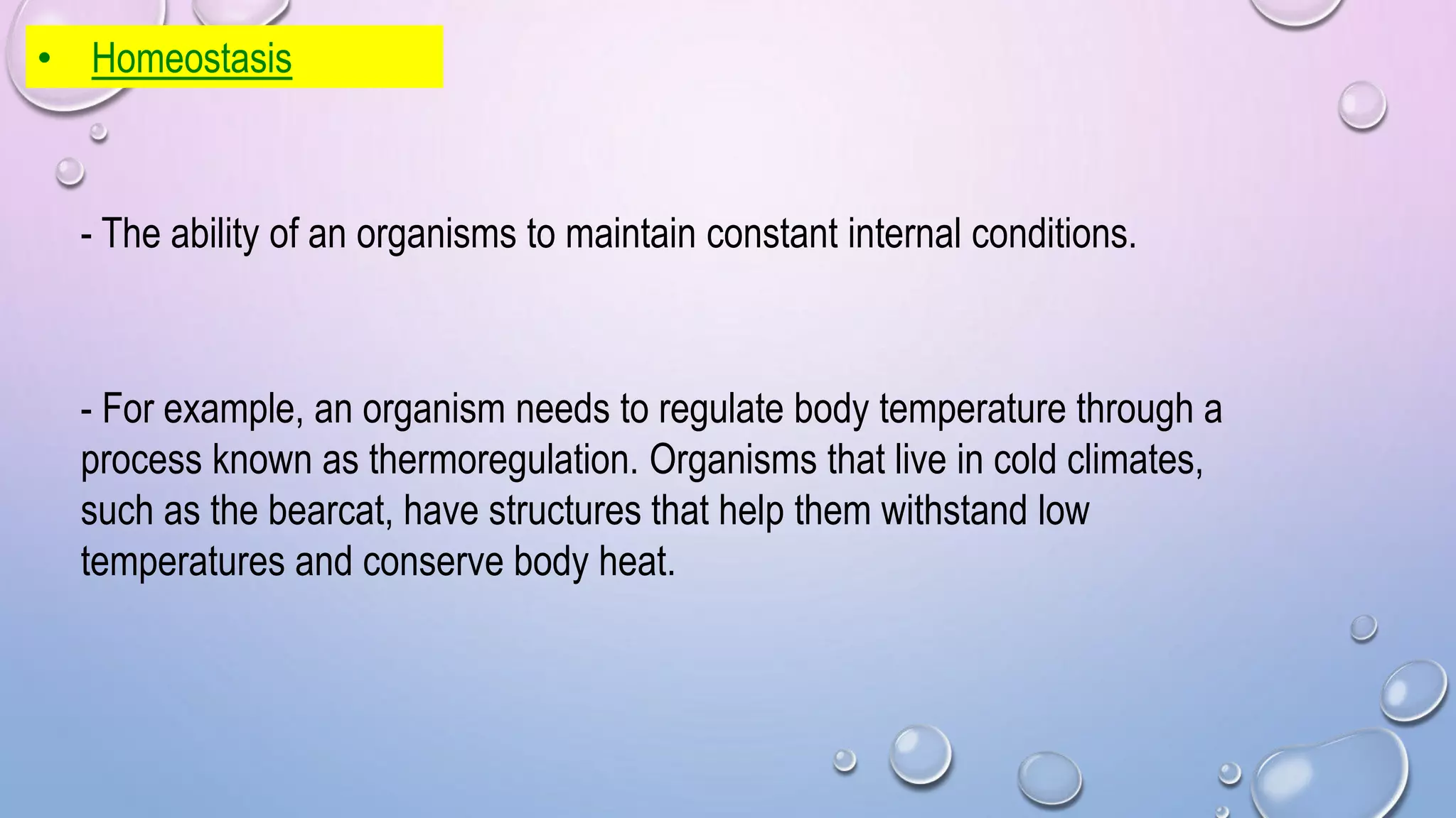 Bio 1 Biology and Properties of life.pptx