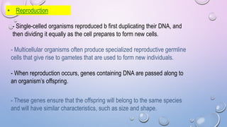 Bio 1 Biology and Properties of life.pptx