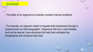Bio 1 Biology and Properties of life.pptx