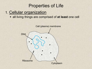 [Bio1] ch 1 evolution the themes of biology and scientific inquiry | PPTX