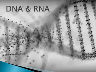 BIO 1_NUCLEIC ACIDS(DNA).ppt