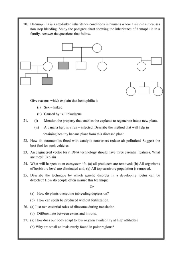 CBSE XII BIOLOGY SAMPLE PAPER BY KENDRIYA VIDYALAYA | PDF
